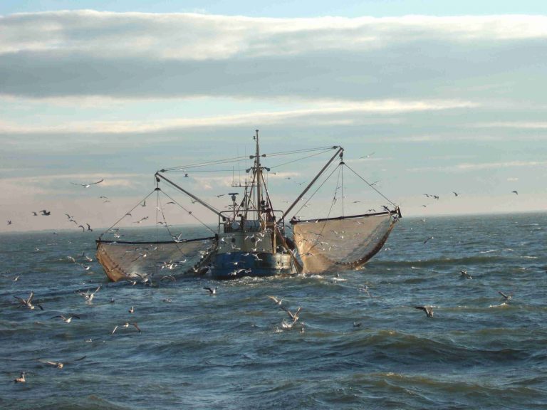 Trawling - Eastern IFCA