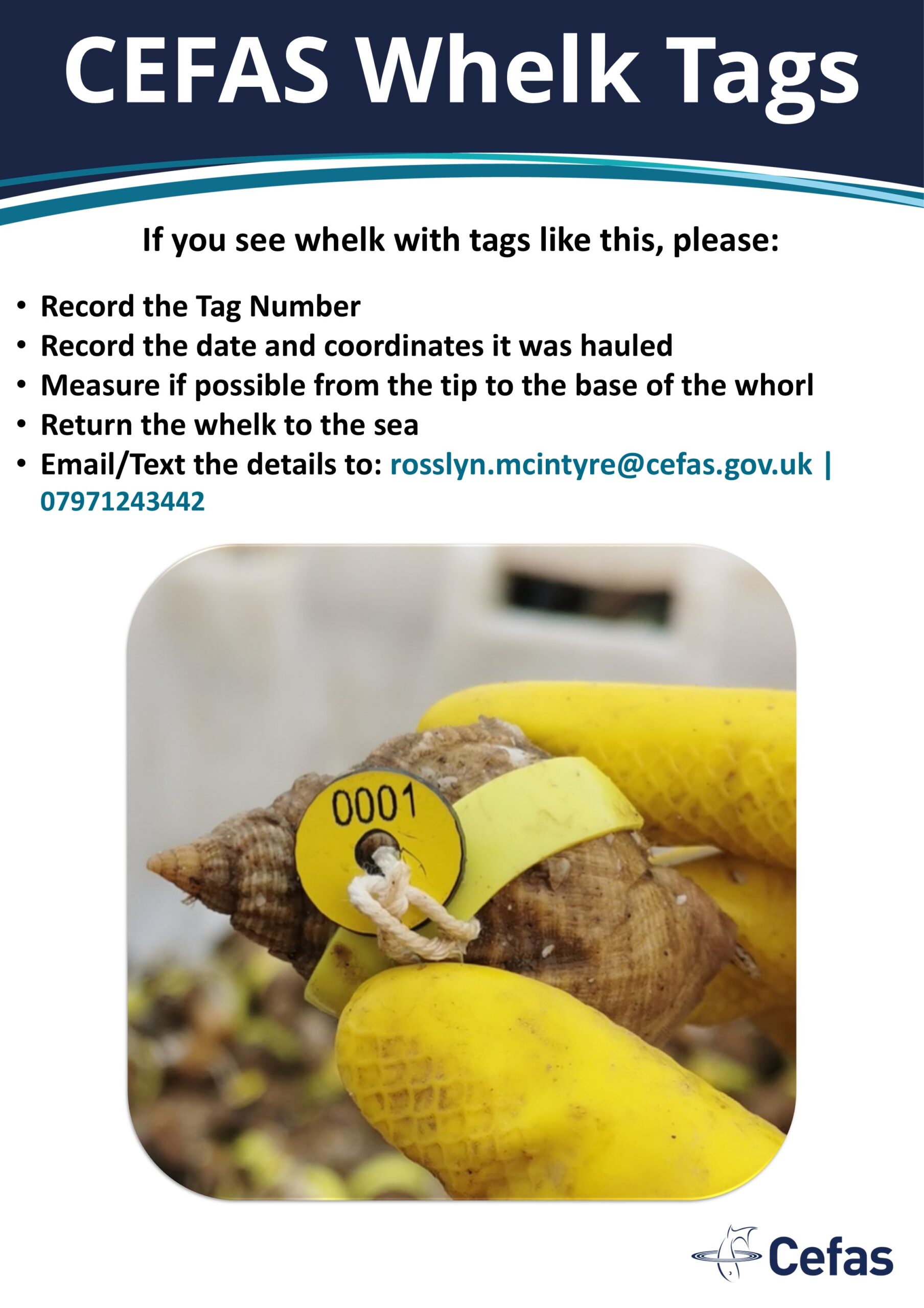 CEFAS MARK AND RECAPTURE STUDY - Eastern IFCA