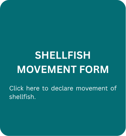 Shellfish movement Button - Eastern IFCA